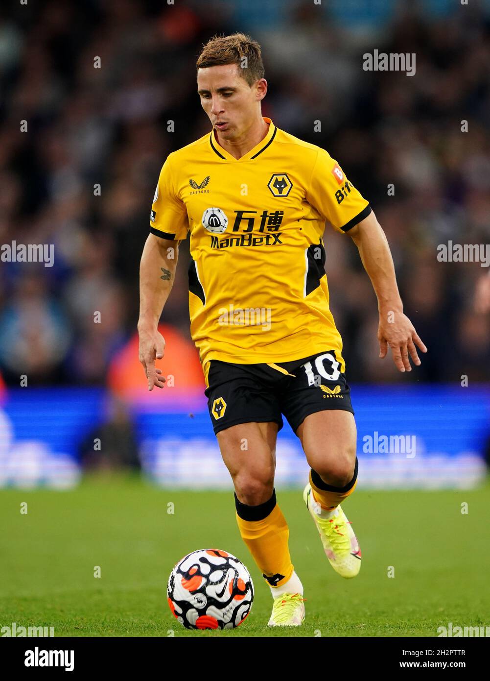 Daniel podence wolves 2021 hi-res stock photography and images - Alamy