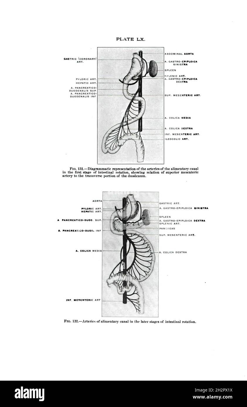 The book and the canal Cut Out Stock Images & Pictures - Alamy