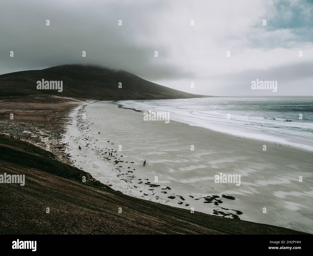 Beautiful coastal landscape in Falkland Island, South Hemisphere Stock ...