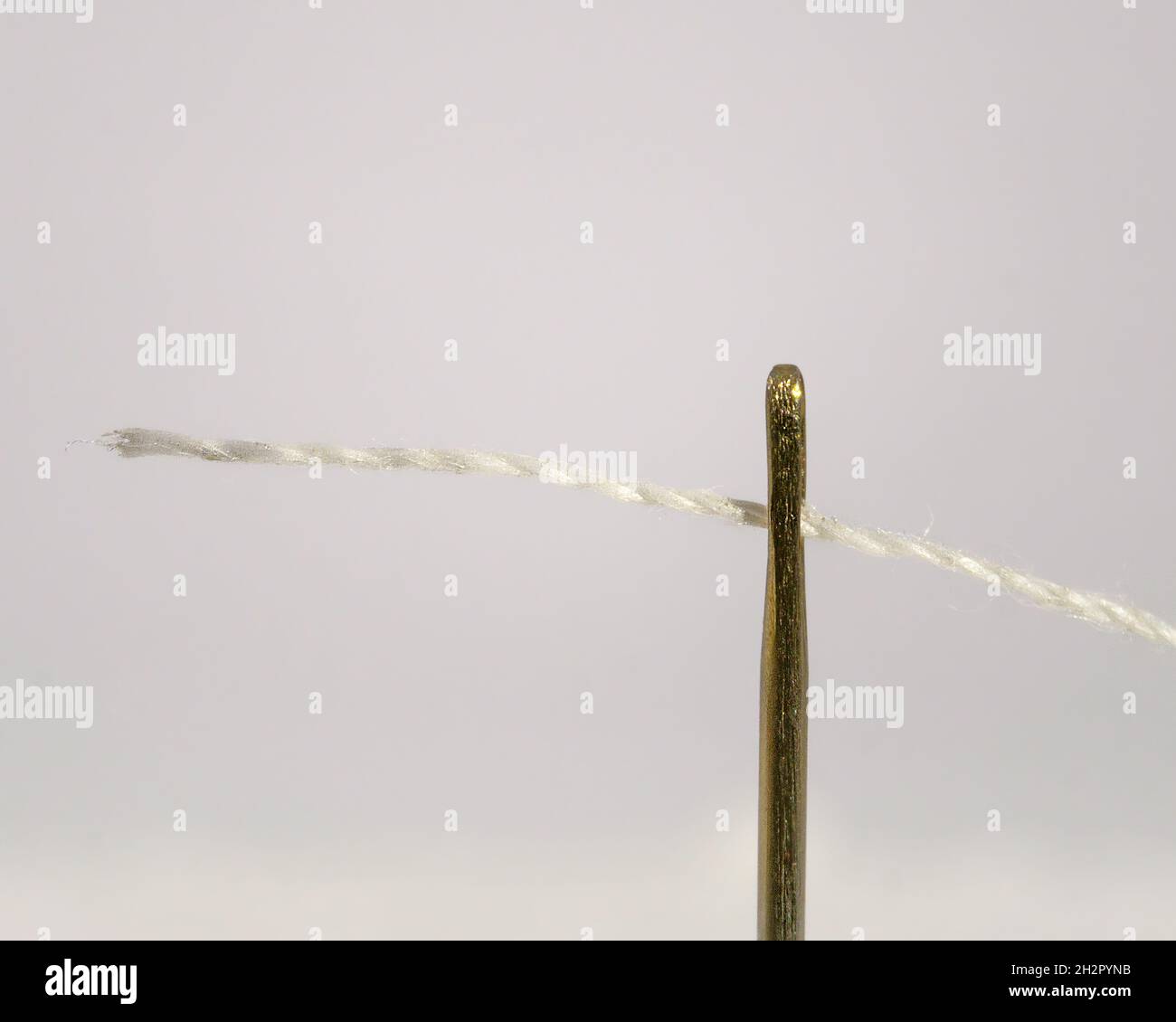 Macro shot of a white thread passing through the eye of a needle Stock ...