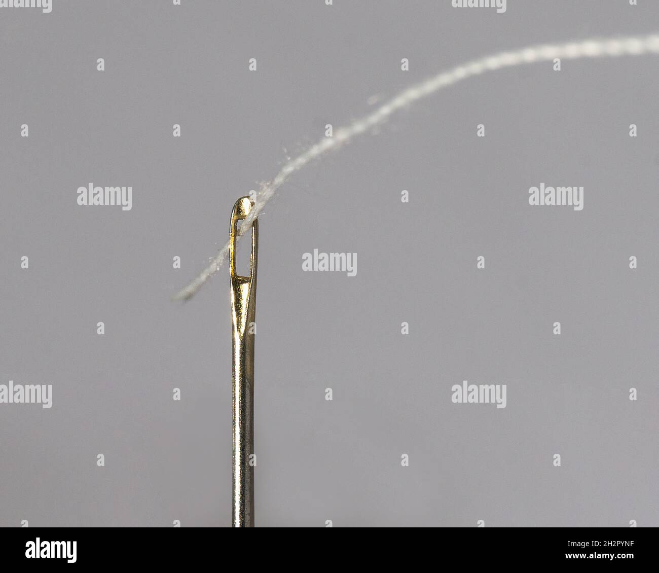 Macro shot of a white thread passing through the eye of a needle Stock ...