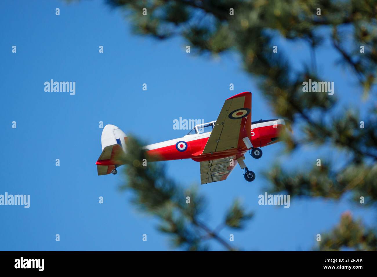 a 1951 De Havilland DHC-1 Chipmunk WD363 22 C-N C1-0304 flies low ...
