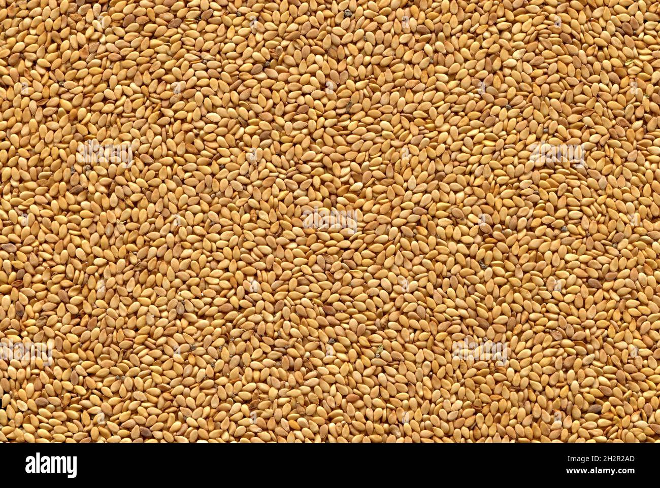 Roasted fresh organic sesame seeds texture, can be used as background ...