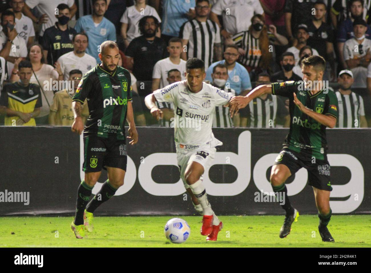 SP - Santos - 10/23/2021 - BRAZILIAN A 2021 - SANTOS X AMERICA-MG ...