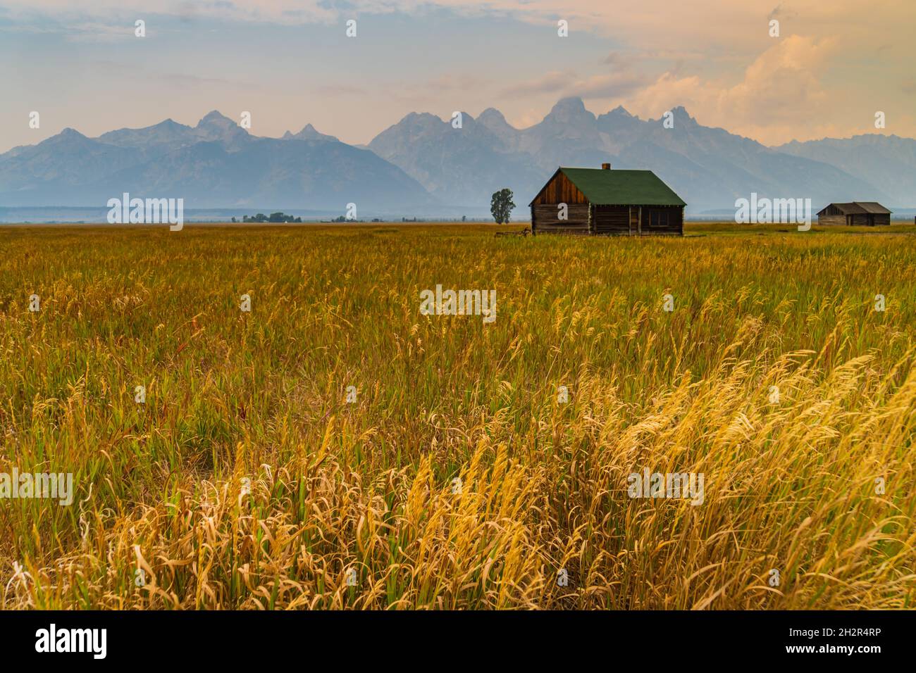 log cabin on Mormon Row historic district with the Teton Mountain Range ...