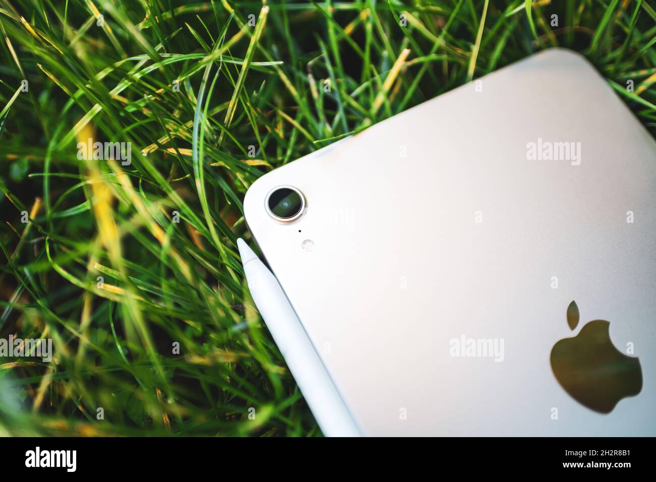 Rear view of latest Apple Computers iPad Mini stylish compact design ...