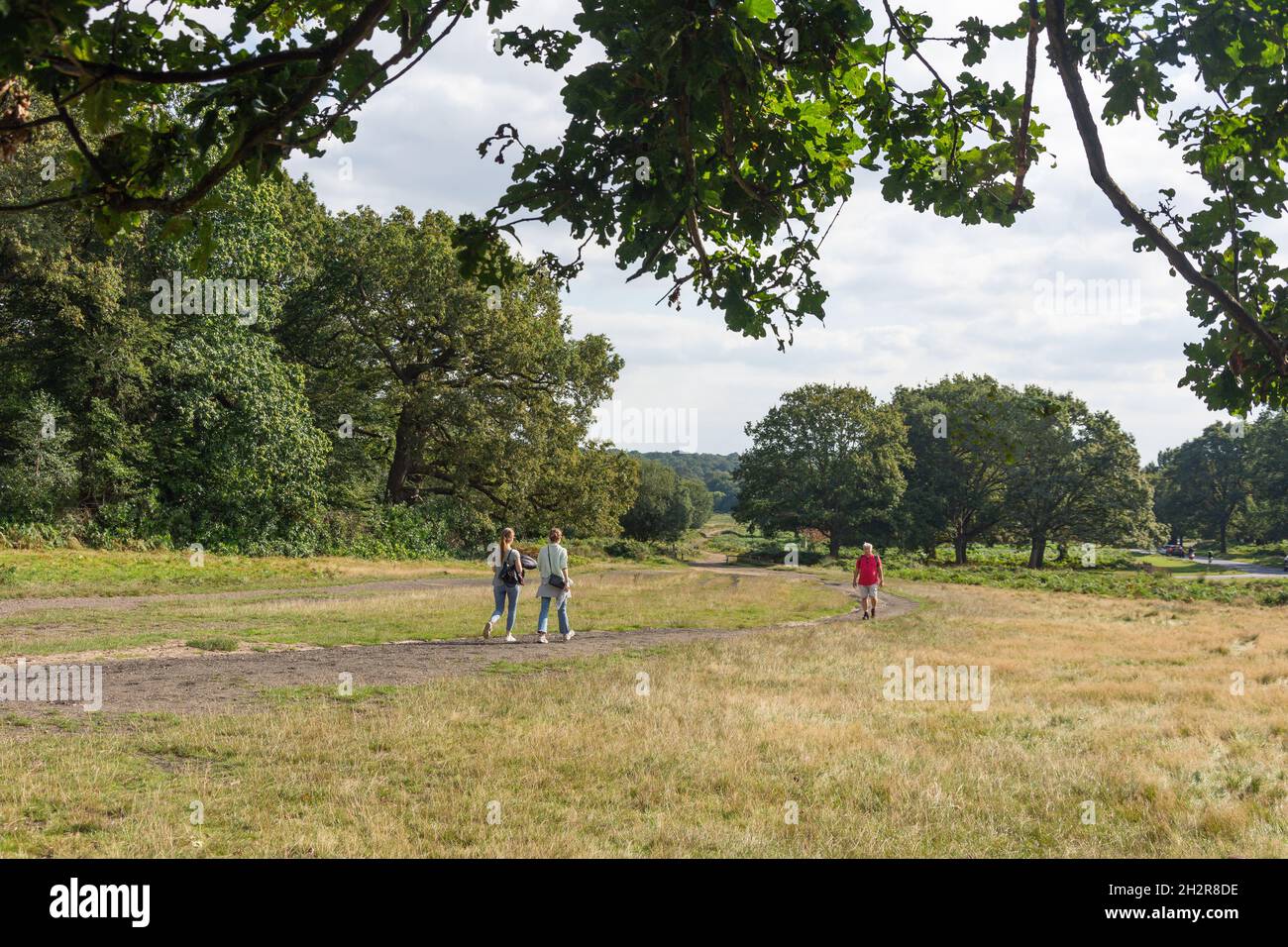 Path into Queen Elizabeth's Plantation, Richmond Park, London Borough ...