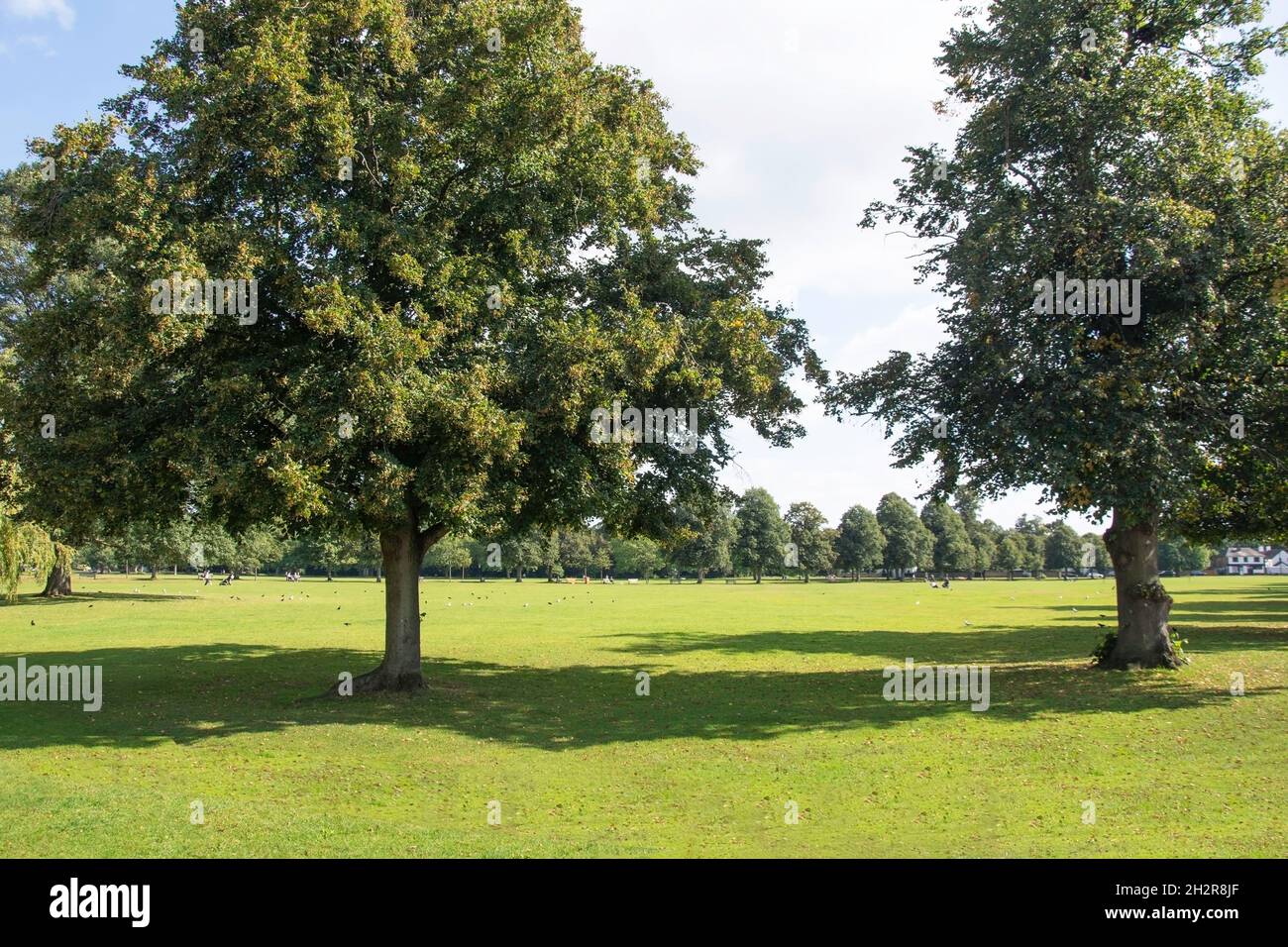Ham Common, Ham, London Borough of Richmond upon Thames, Greater London ...
