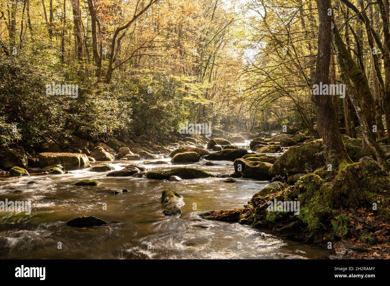 Mist Rises Around Boulders In Little River in the Smokies Stock Photo ...