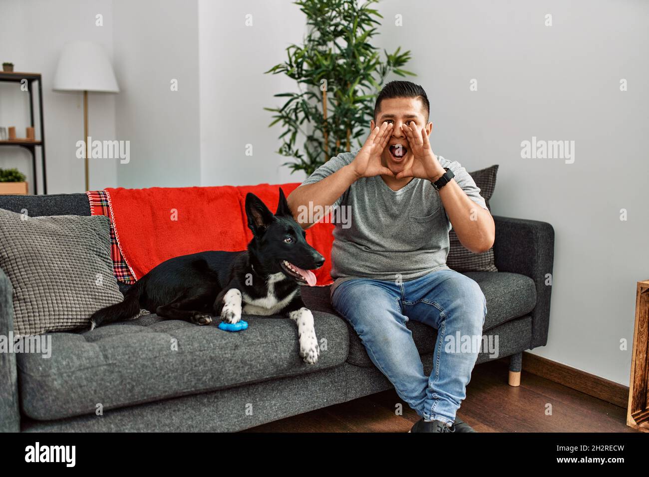 Young latin man and dog sitting on the sofa at home shouting angry out ...
