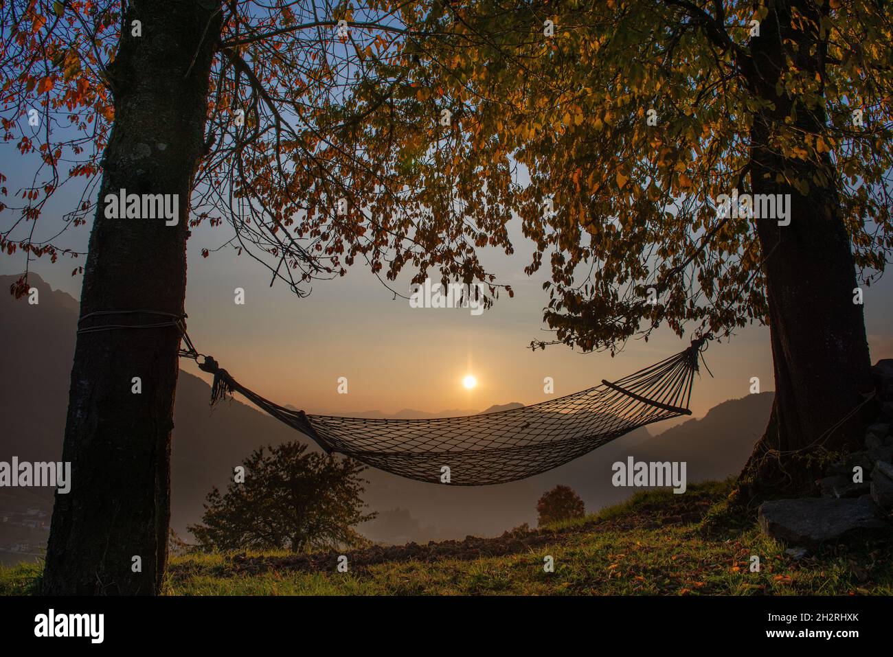 Hanging between trees hi-res stock photography and images - Alamy