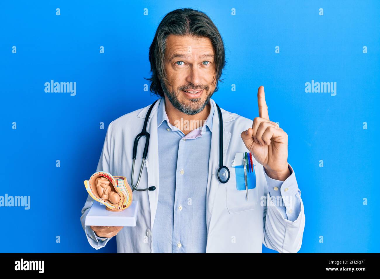 Middle age handsome gynecologist man holding anatomical model of female ...