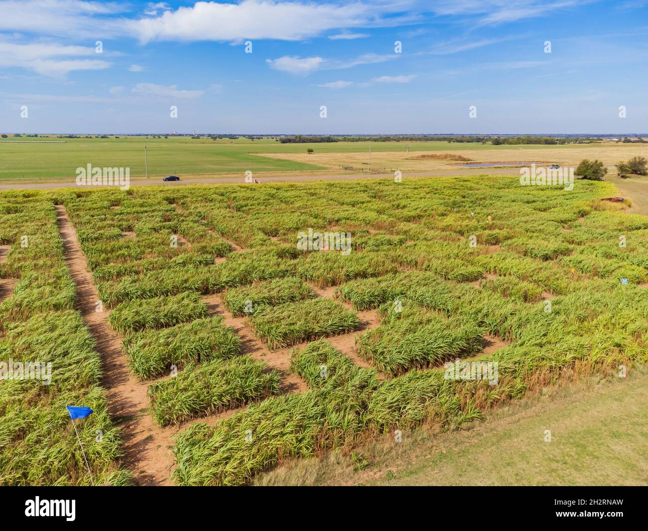 Hay maze aerial hi-res stock photography and images - Alamy