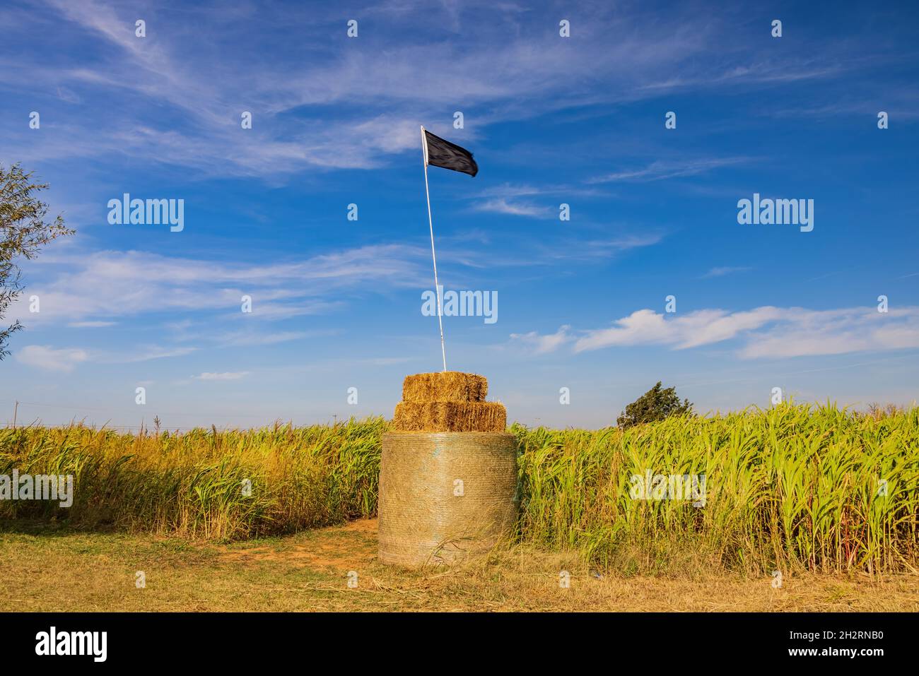 Daze in a maze hi-res stock photography and images - Alamy