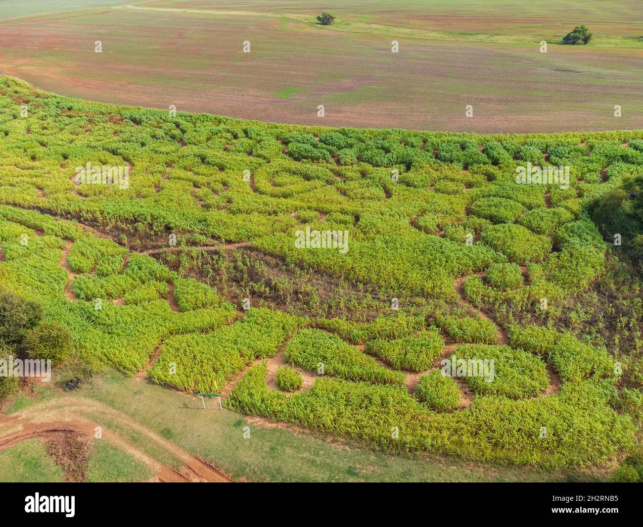 Hay maze aerial hi-res stock photography and images - Alamy