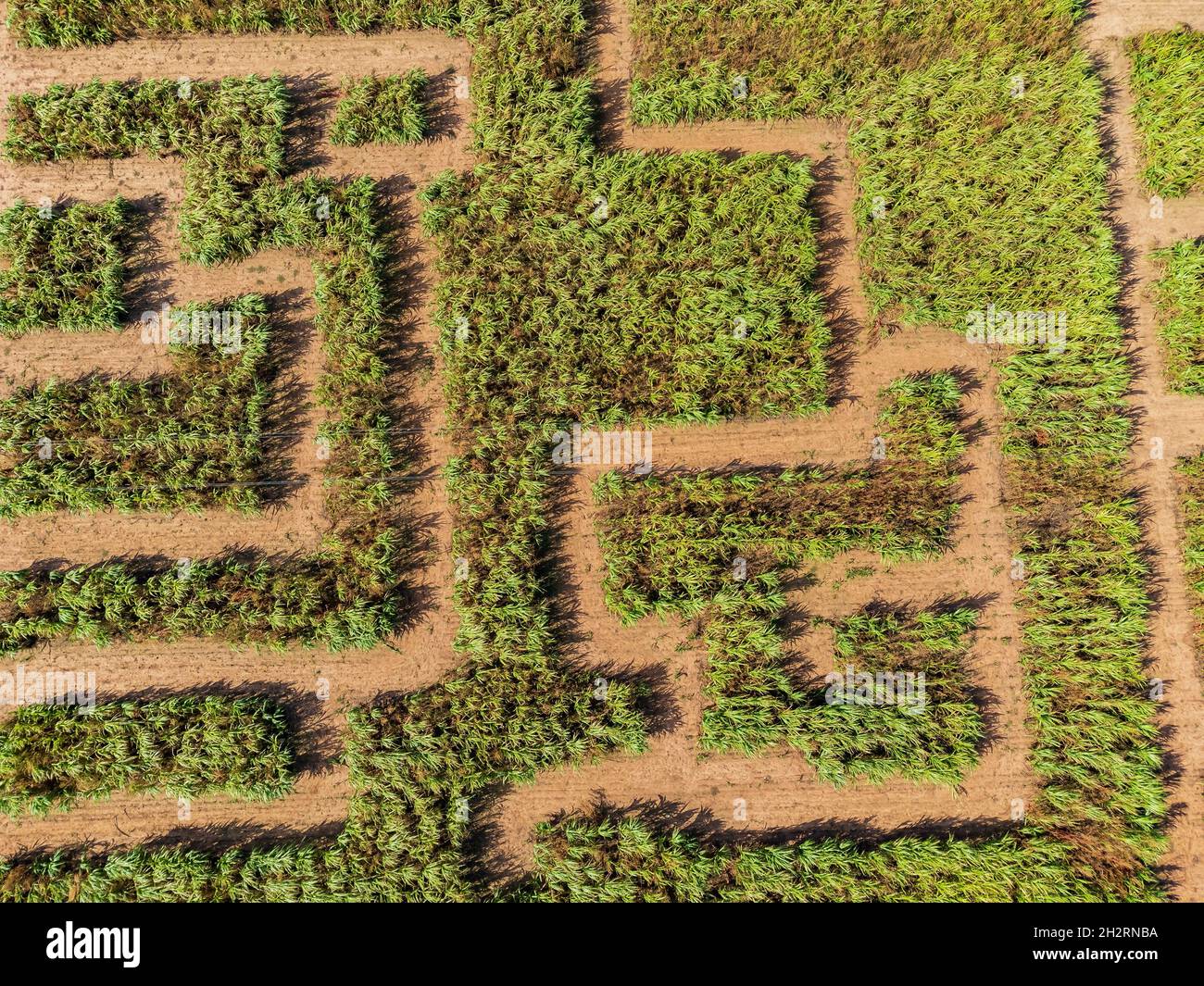 Hay maze aerial hi-res stock photography and images - Alamy