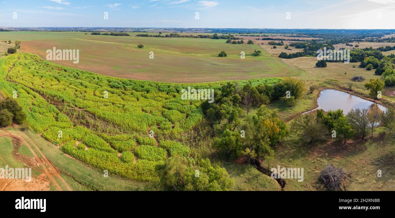 Daze in a maze hi-res stock photography and images - Alamy