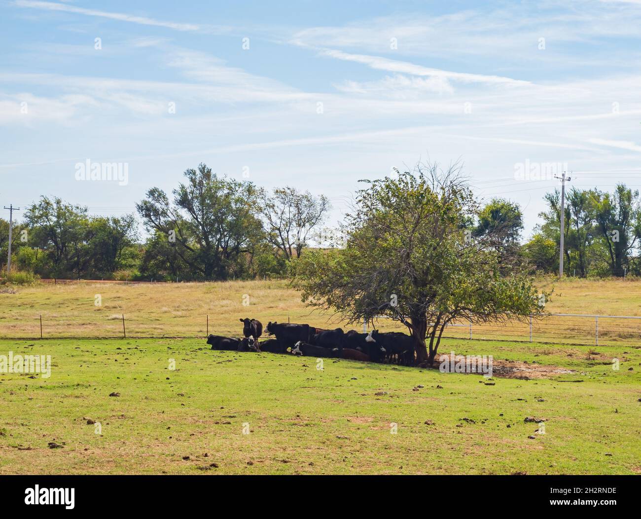 Daze in a maze hi-res stock photography and images - Alamy