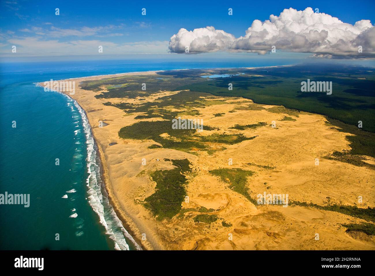 Kaipara harbour hi-res stock photography and images - Alamy