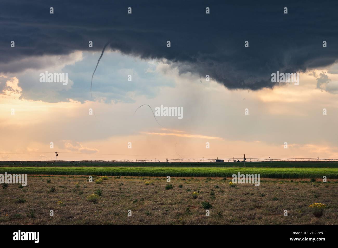 Tornado rope out over a field near Sudan, Texas Stock Photo - Alamy