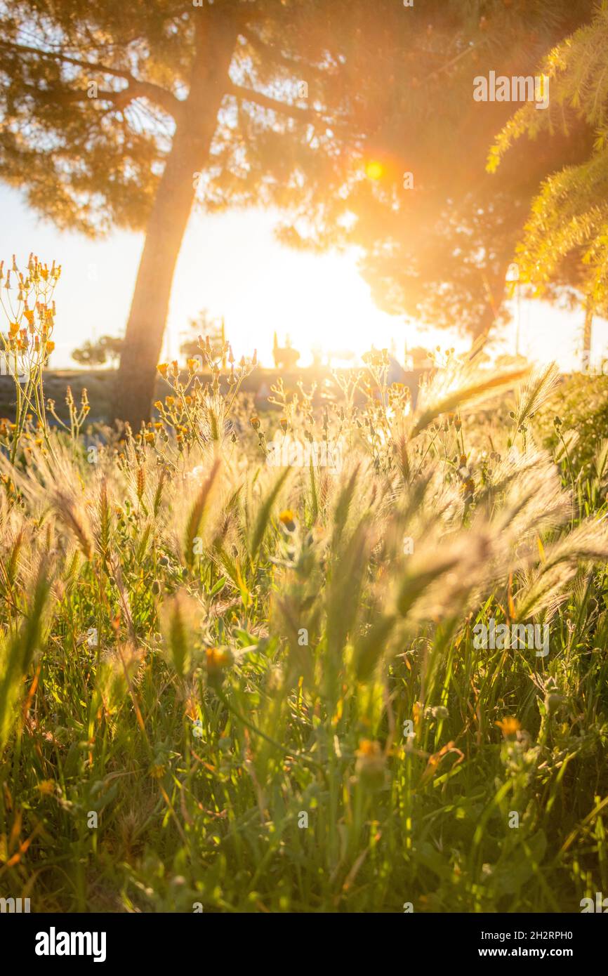 A beautiful landscape with morning sunlit Stock Photo - Alamy