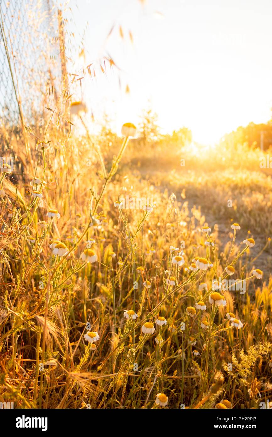 A beautiful landscape with morning sunlit Stock Photo - Alamy