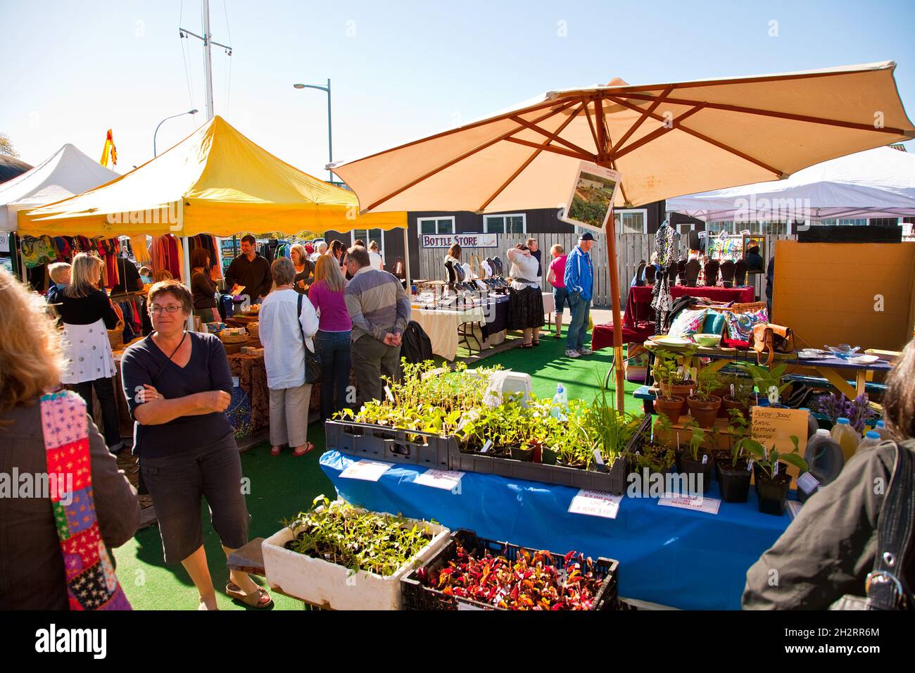 Matakana farmers market hi-res stock photography and images - Alamy