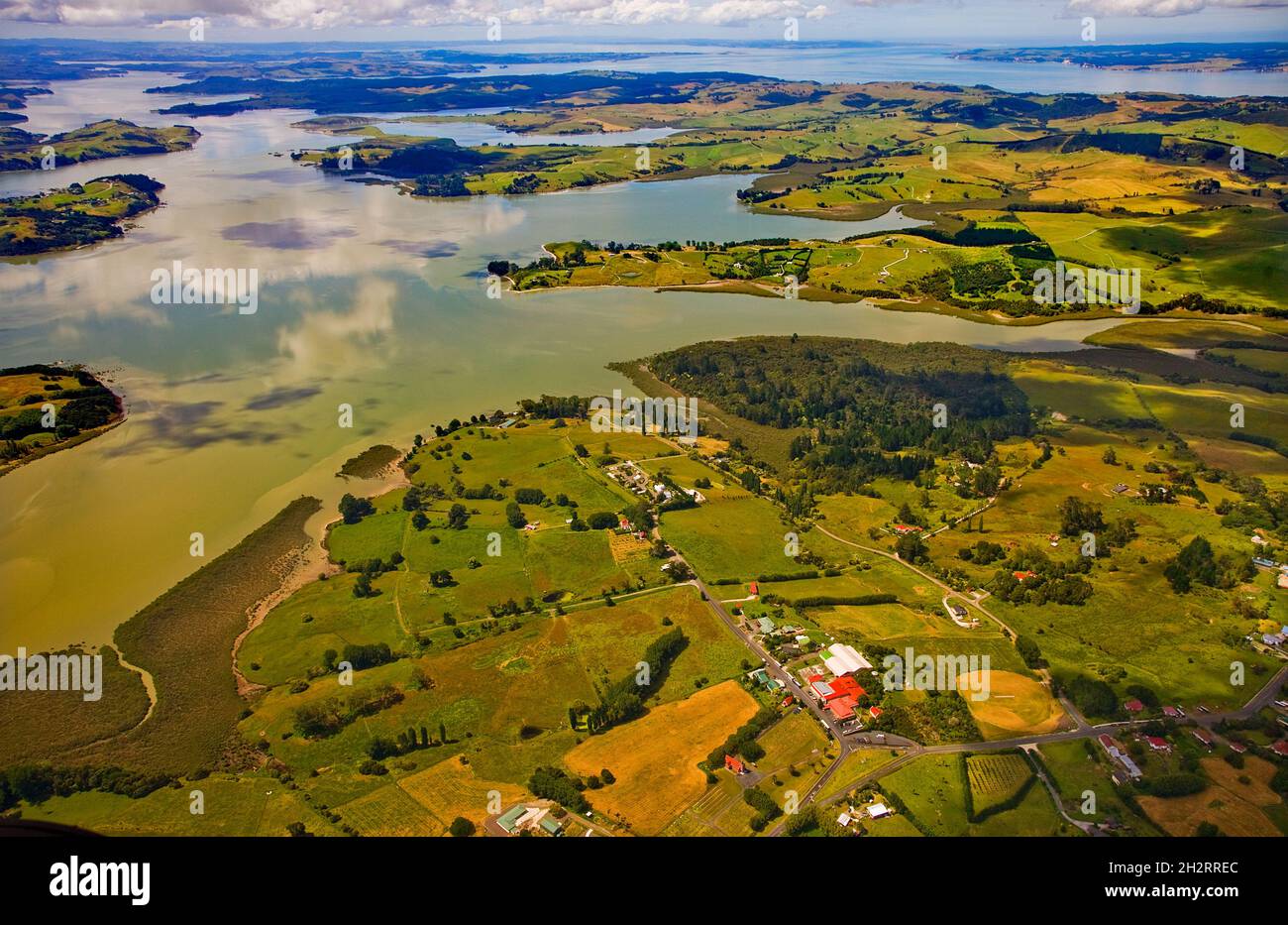 Kauri museum hi-res stock photography and images - Alamy
