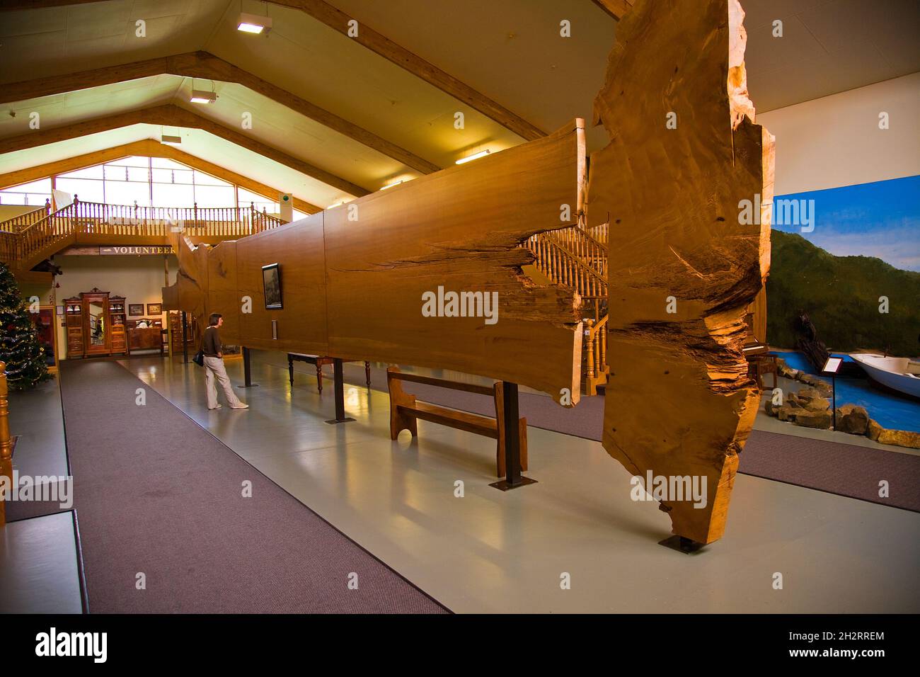 Matakohe hi-res stock photography and images - Alamy