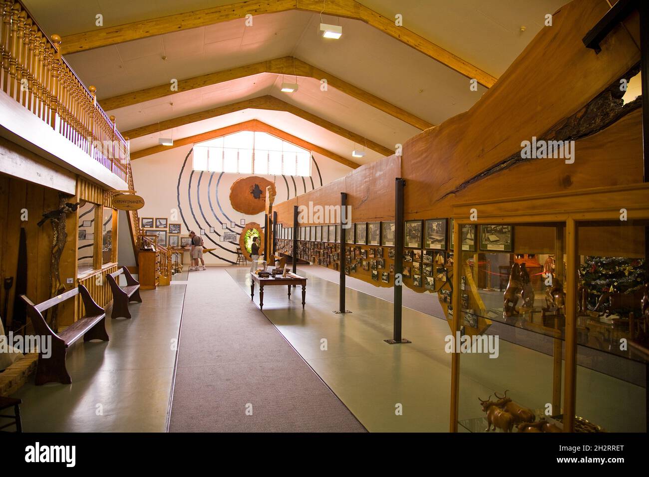 Kauri museum hi-res stock photography and images - Alamy