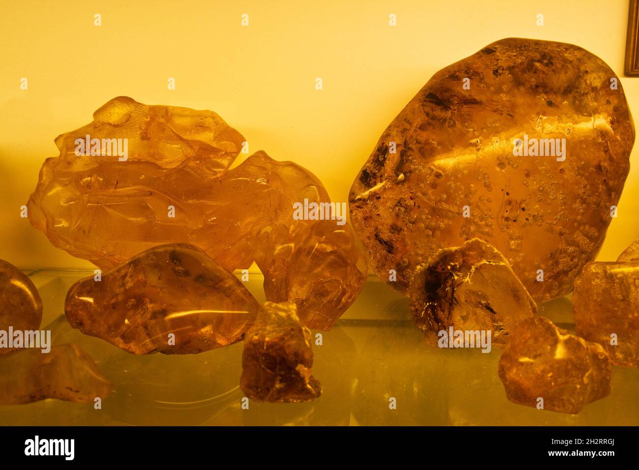 Matakohe hi-res stock photography and images - Alamy