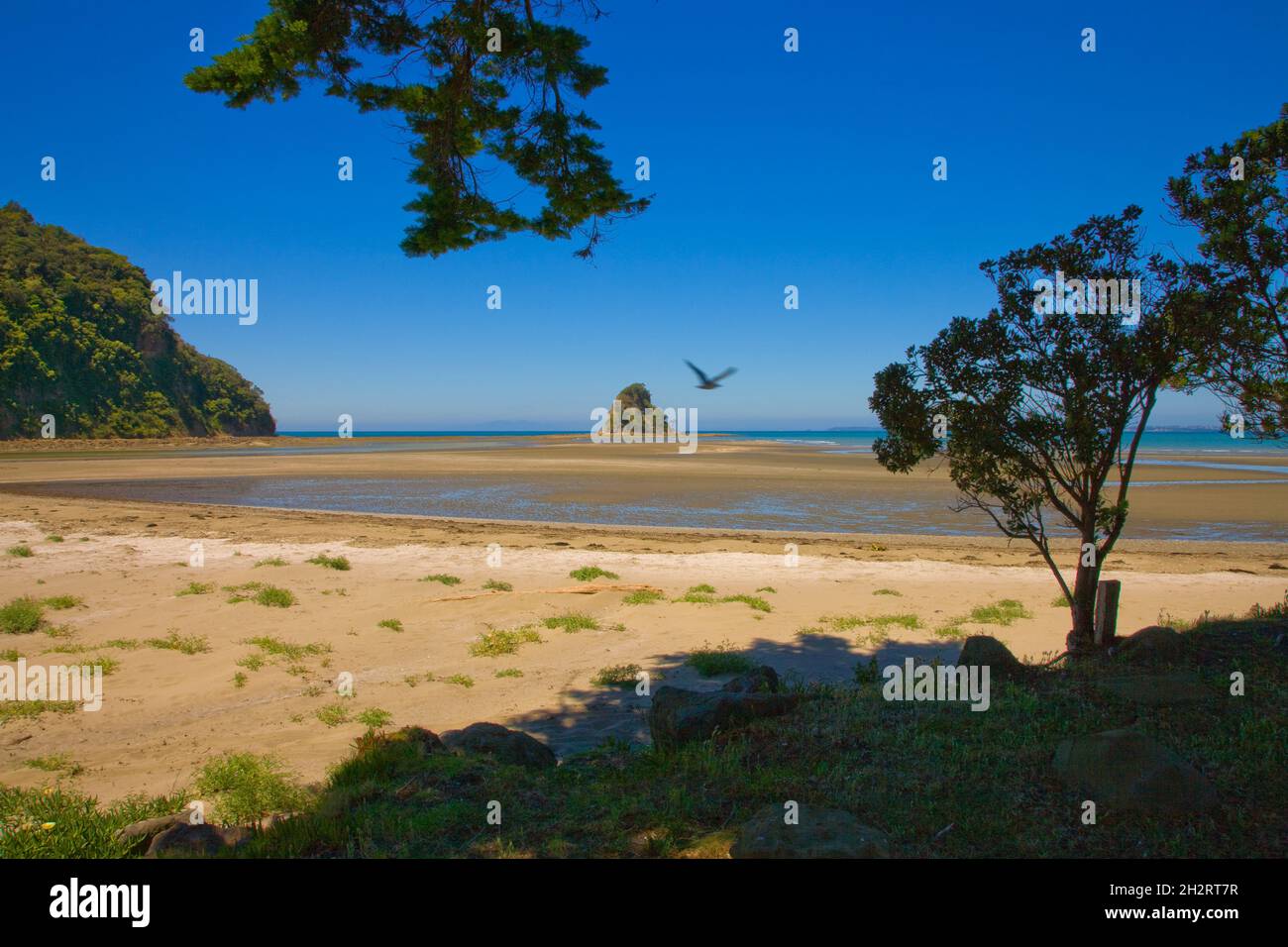 Waiwera beach hi-res stock photography and images - Alamy