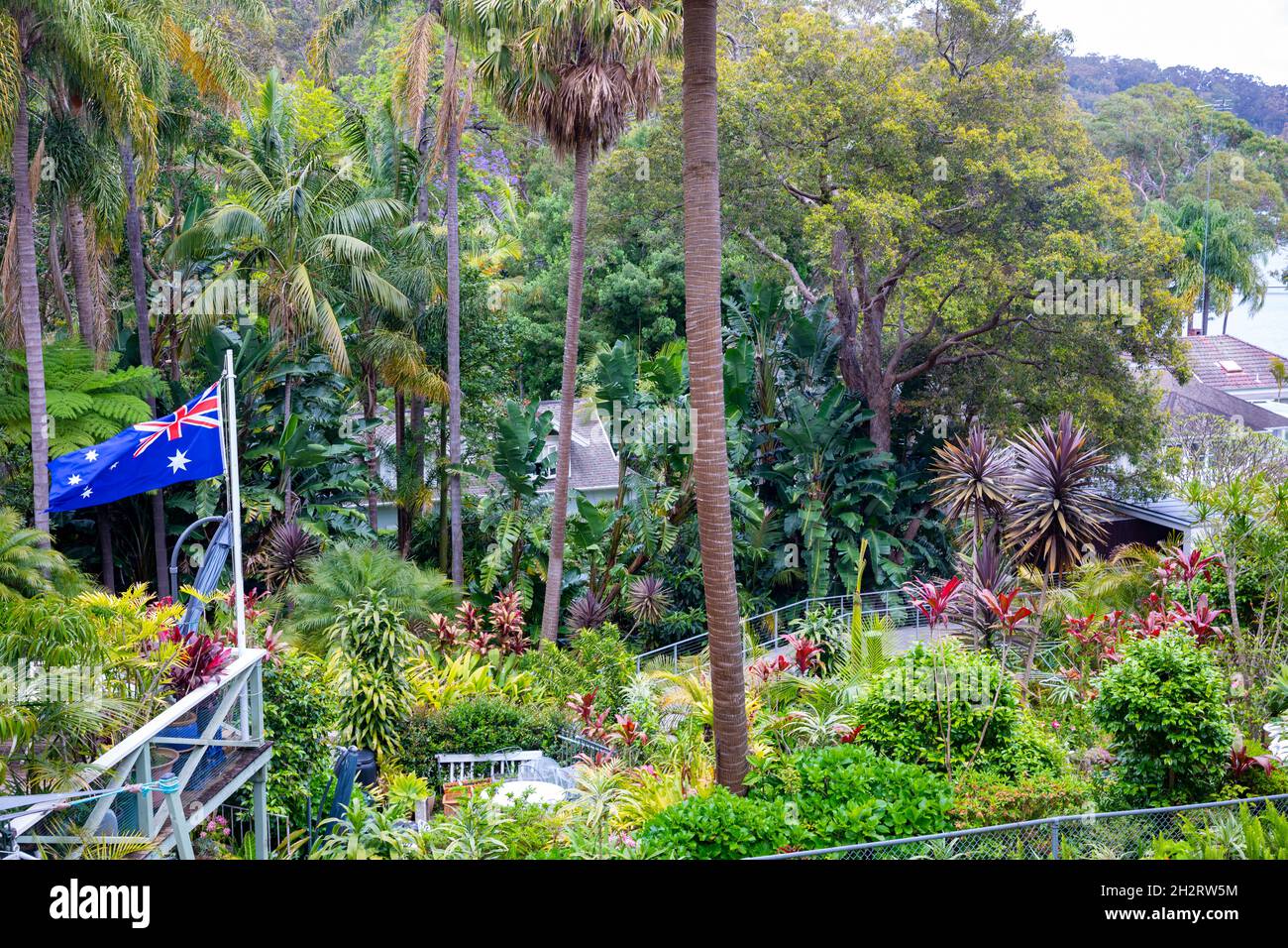 En Sydney Tropical