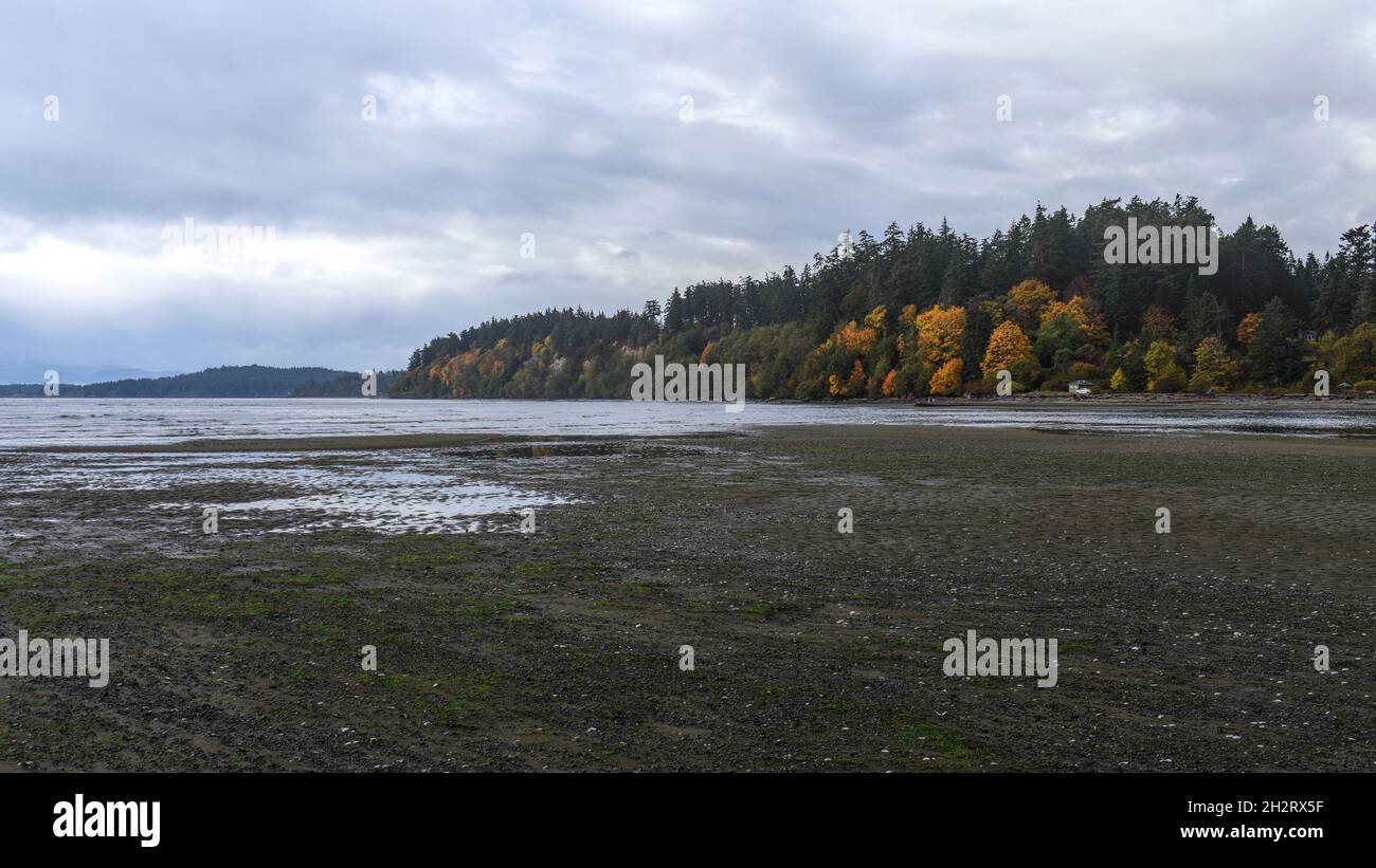 Wittys lagoon hi-res stock photography and images - Alamy