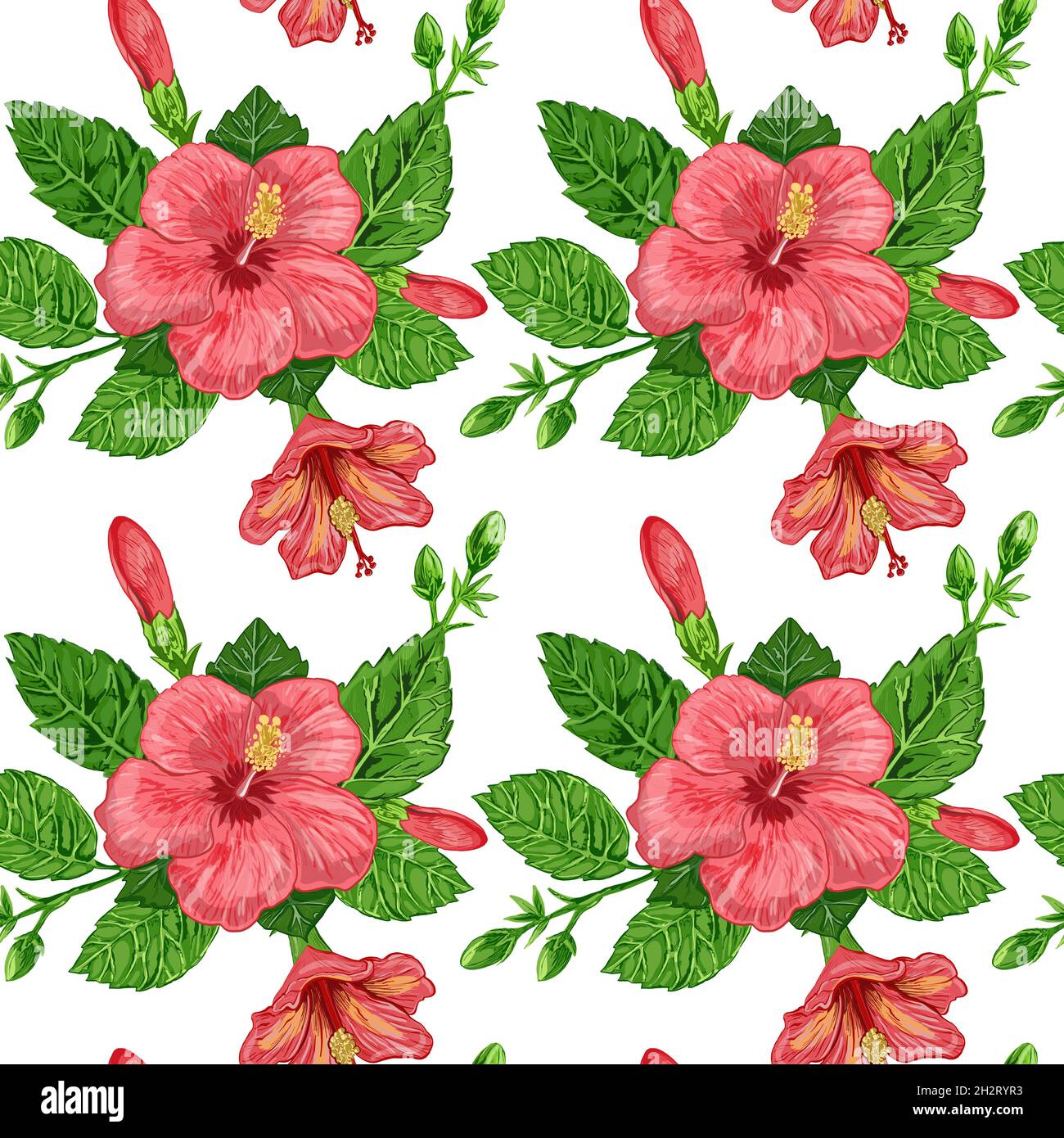 illustration of a seamless pattern of hibiscus plants flowers and ...