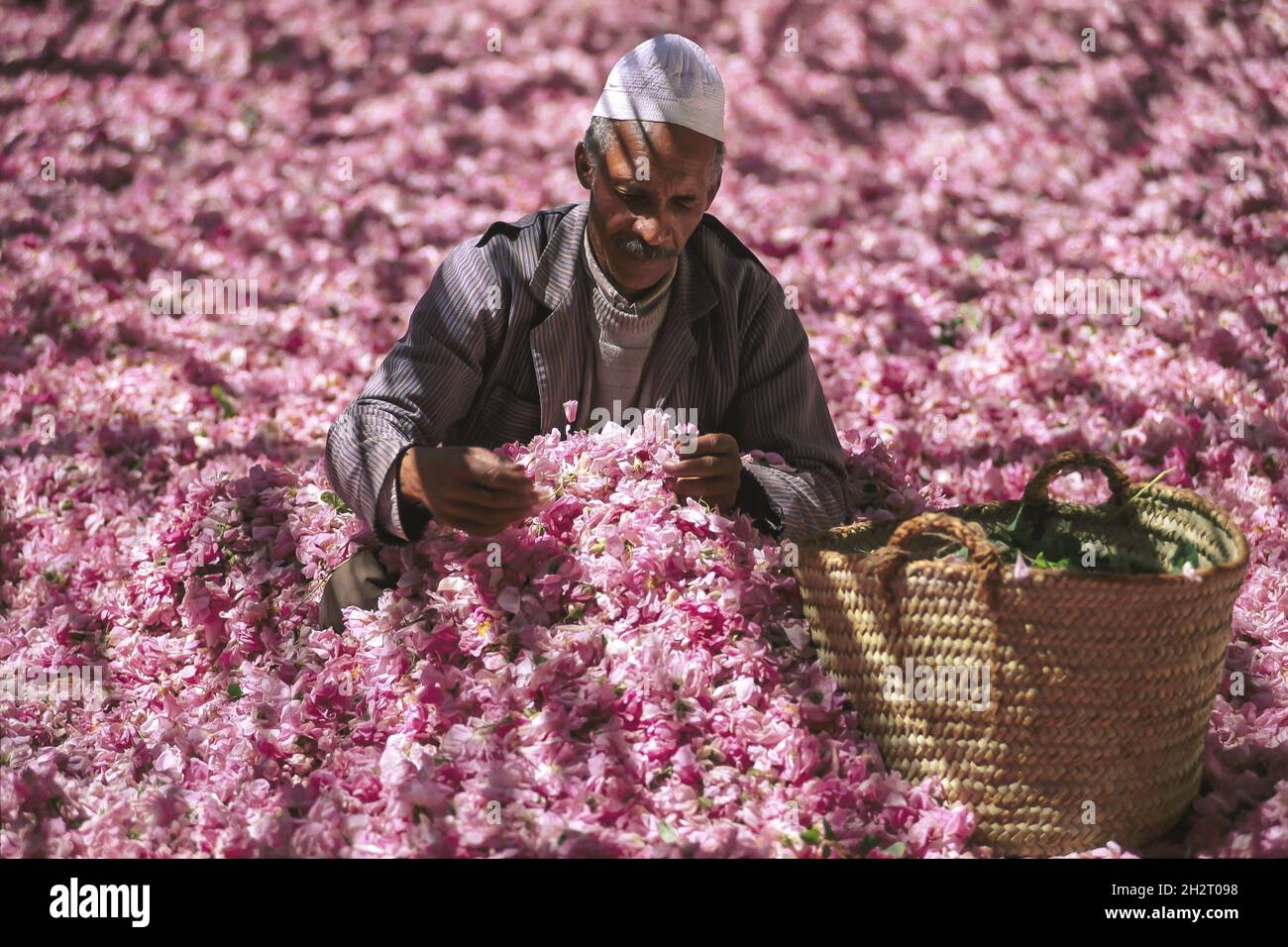 Kalaat m'gouna hi-res stock photography and images - Alamy