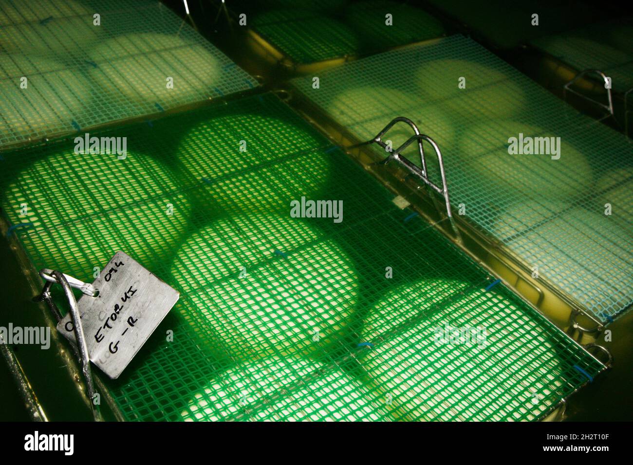 FRANCE, PYRENEES ATLANTIQUES (64), BASQUE COUNTRY, CHEESE DAIRY IN ...