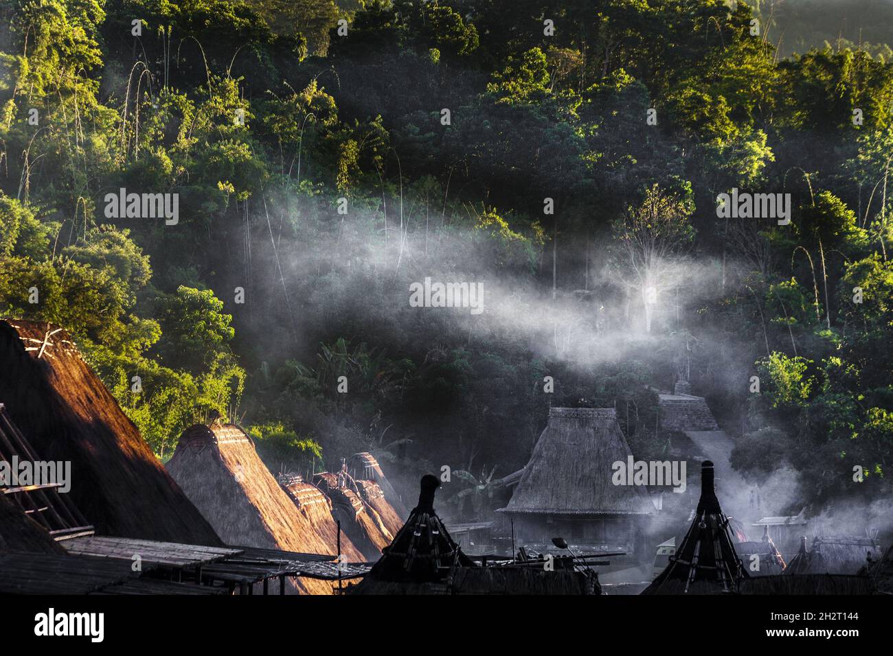 INDONESIA, FLORES ISLAND, VILLAGE OF BENA, GARDEN FOREST Stock Photo ...
