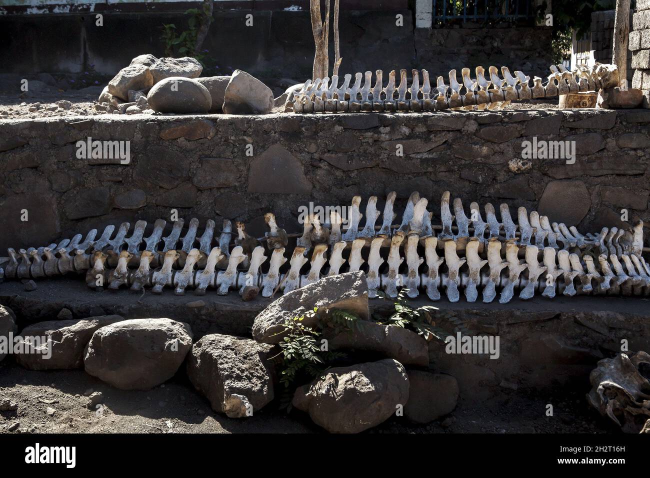 INDONESIA, LEMBATA ISLAND, VILLAGE OF LAMALERA. ON THE SOUTH COAST OF ...