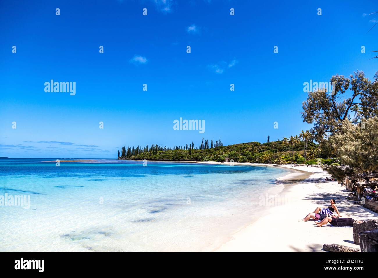 Pines island hi-res stock photography and images - Alamy
