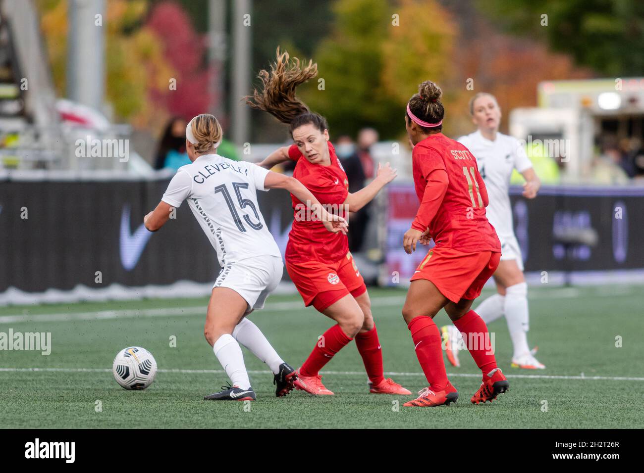 2021 daisy hi-res stock photography and images - Alamy