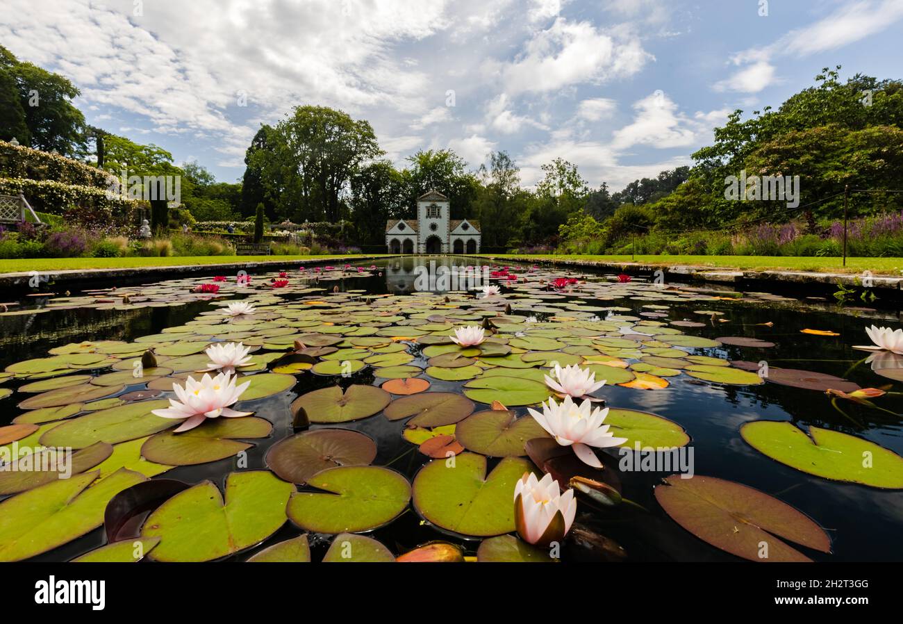 Lily pond in Bodnant Gardens, Wales, UK Stock Photo - Alamy