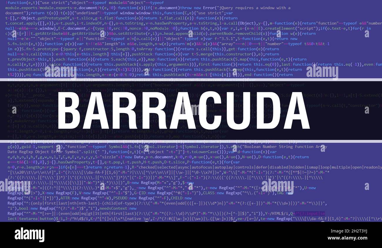 Barracuda text written on Programming code abstract technology ...
