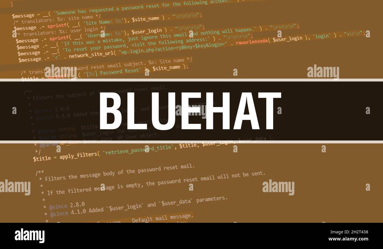 BlueHat concept illustration using code for developing programs and app. BlueHat website code ...