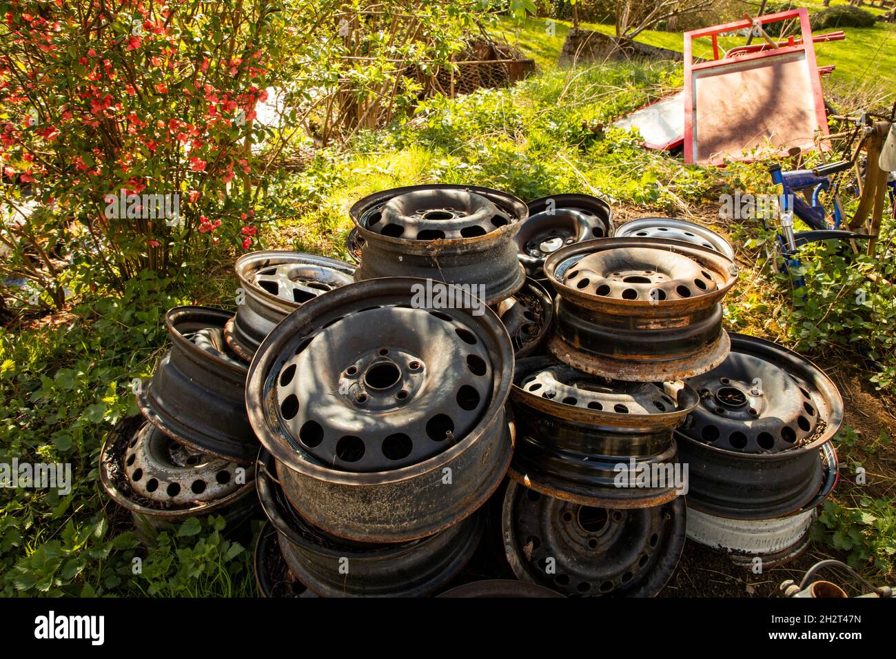 Pile of old steal rims thrown away into nature Stock Photo - Alamy
