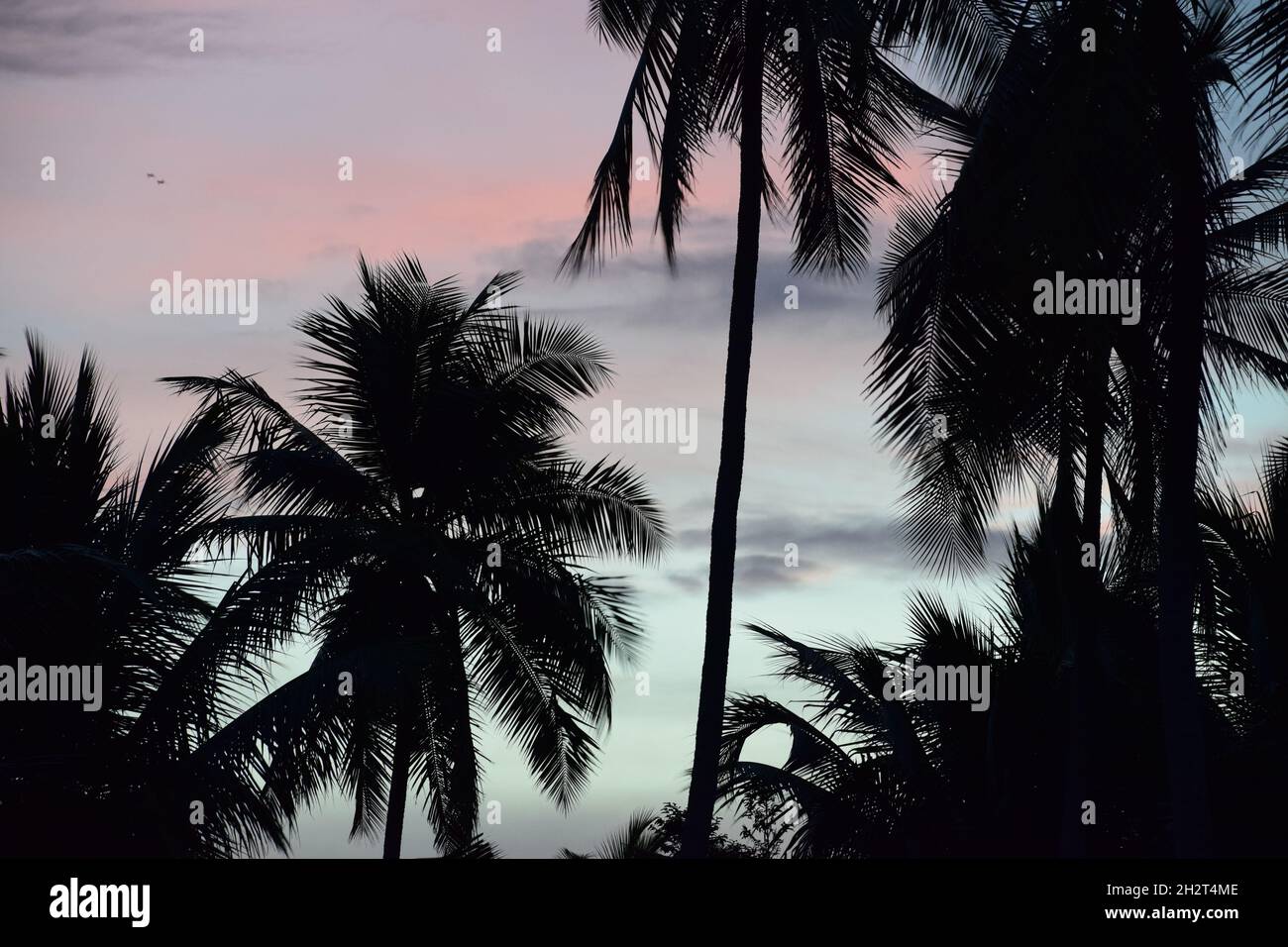 Evening sky nature Stock Photo - Alamy