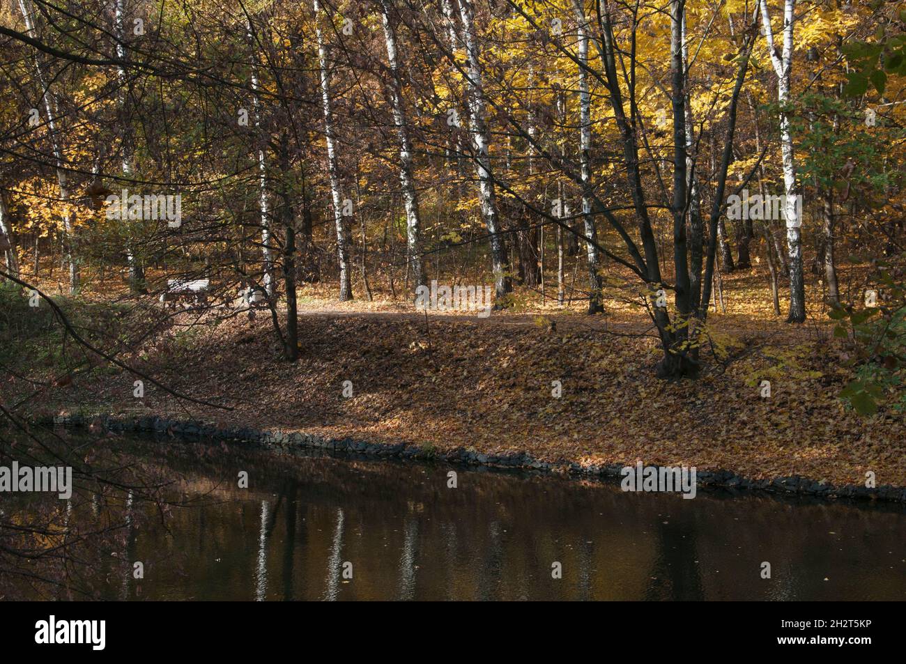 Autumn landscape in Sokolniki park in Moscow, Russia Stock Photo - Alamy