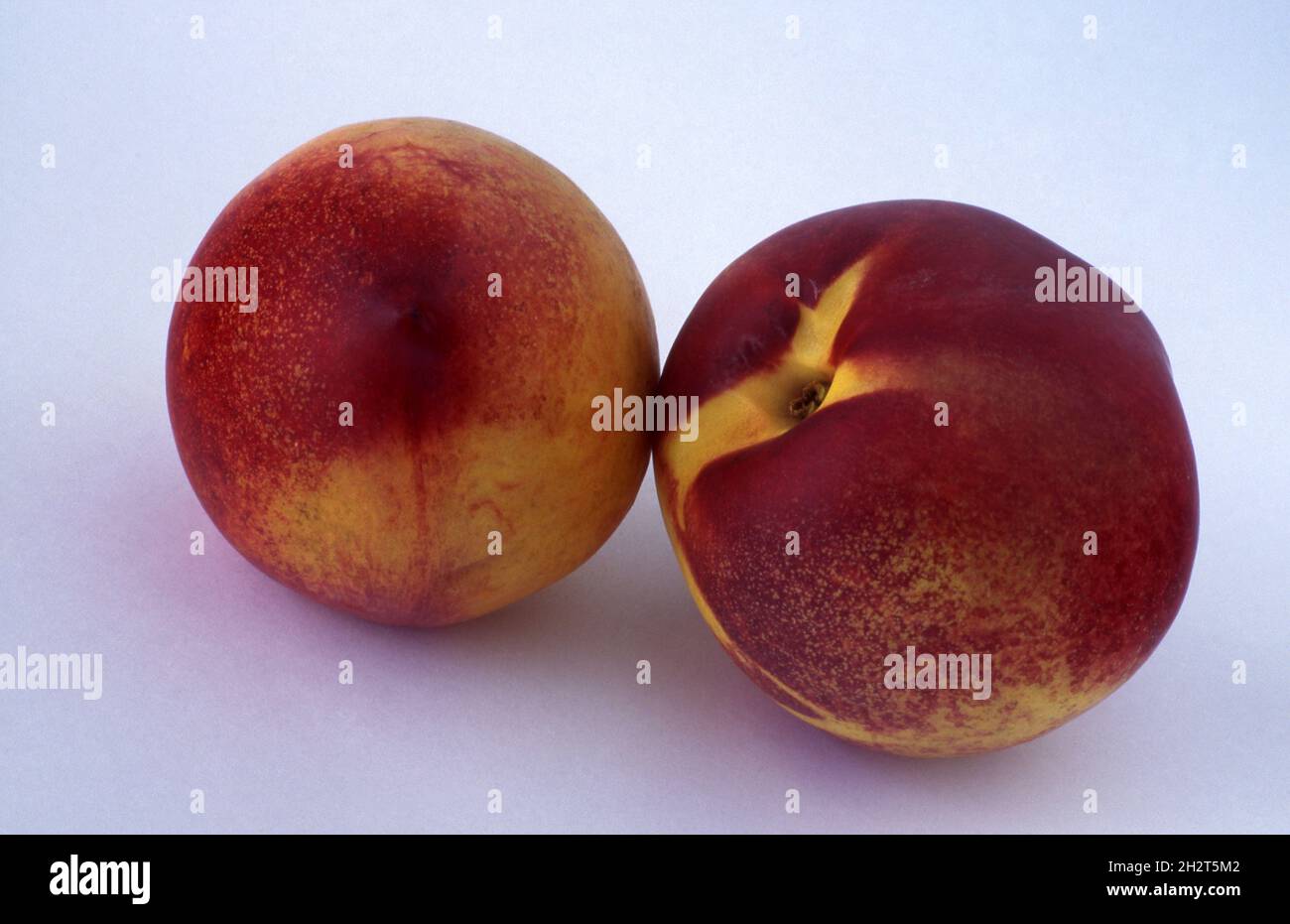 STUDIO IMAGE OF FRESH NECTARINES Stock Photo - Alamy