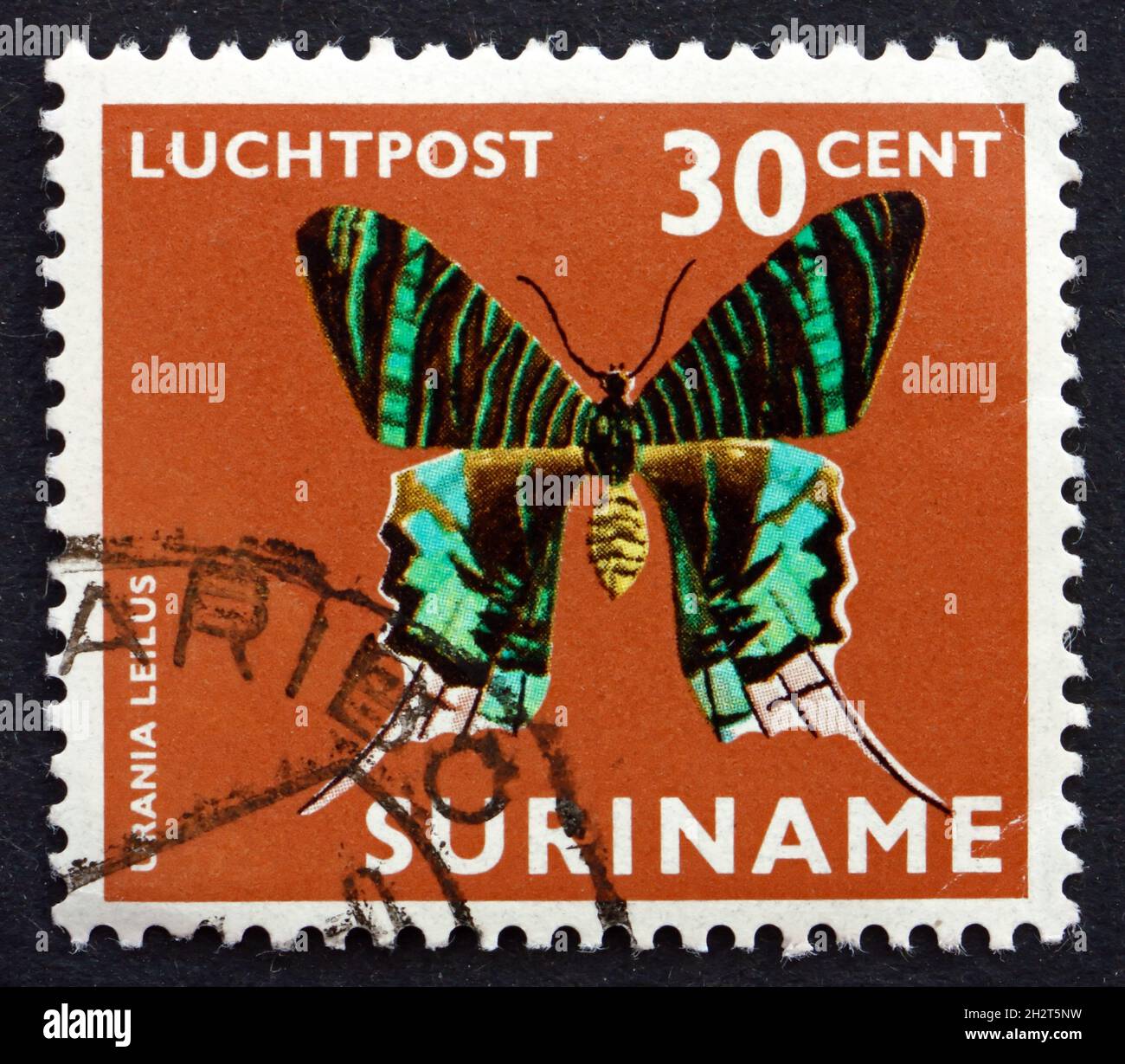 SURINAME - CIRCA 1972: a stamp printed in Suriname shows green-banded ...