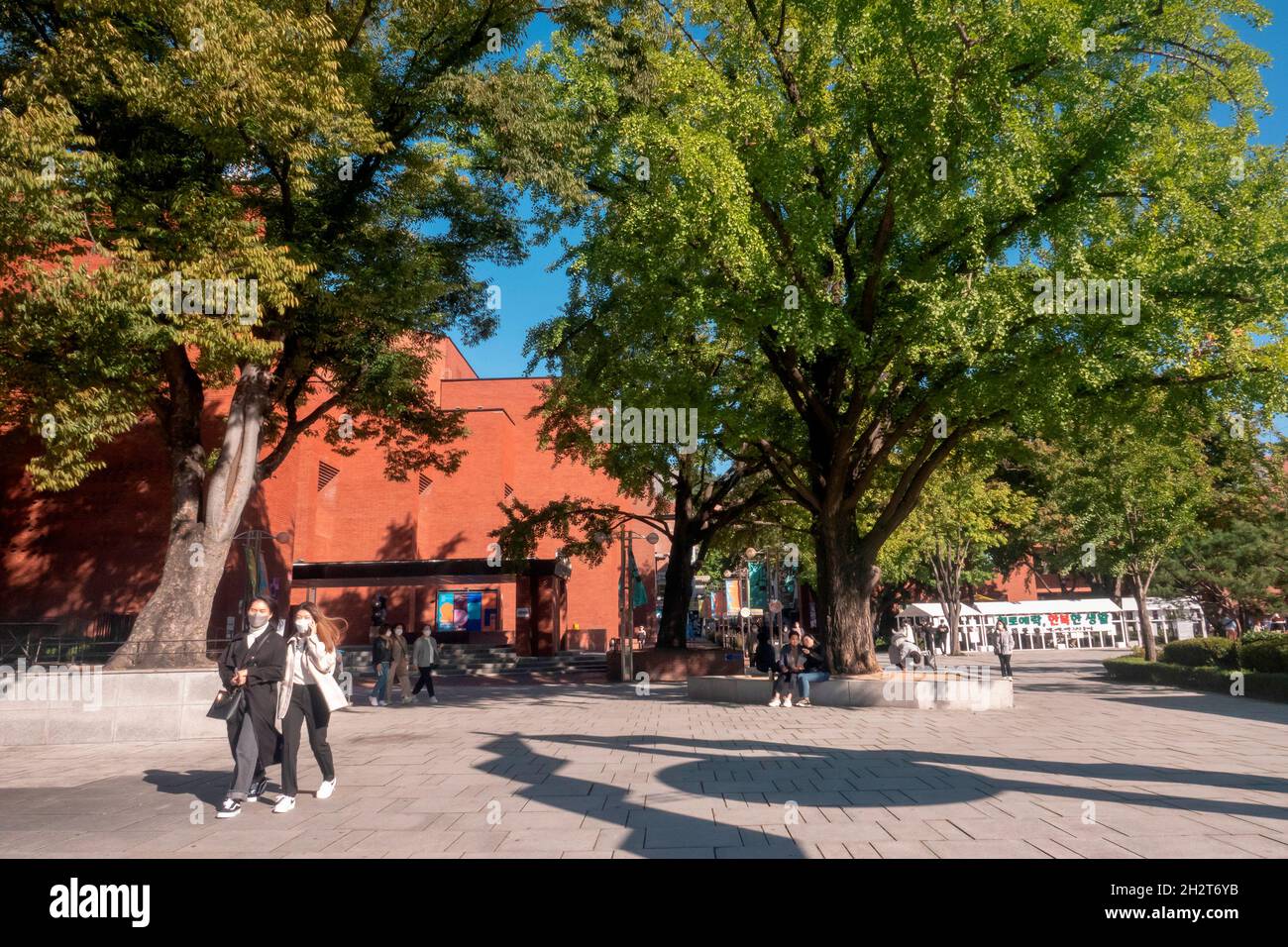 Daehakro, Oct 17, 2021 : Arko Art Center (L) and Marronnier Park at ...